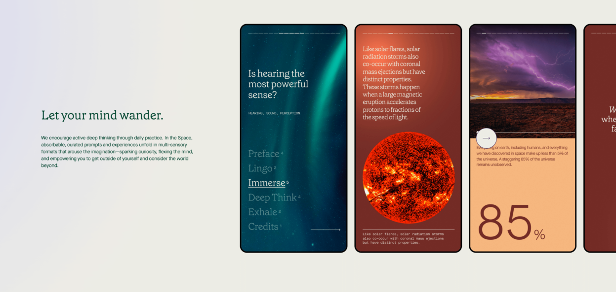 2022: A Year in Review - C42D