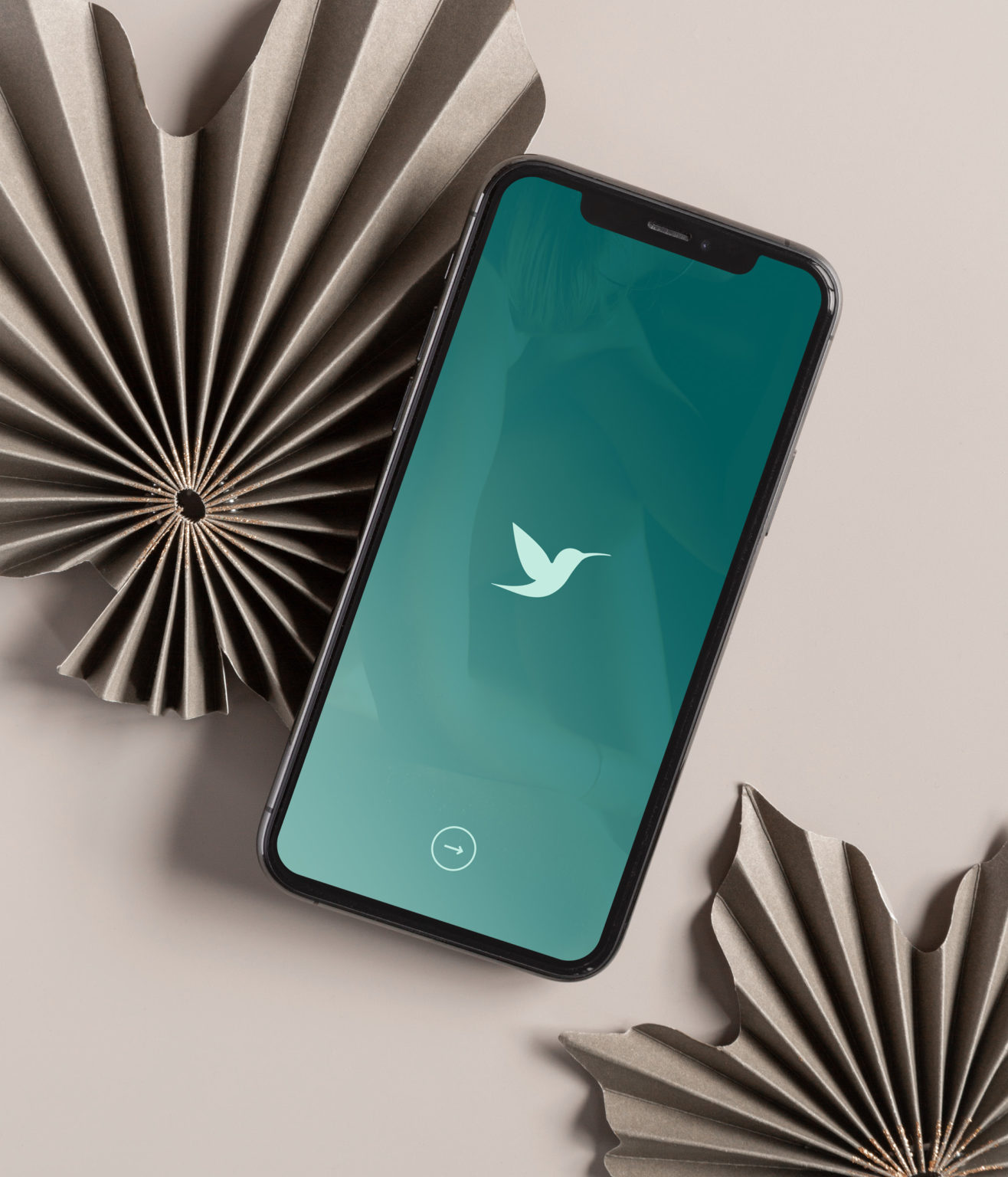 Startup Branding Case Studies- C42D Work Examples